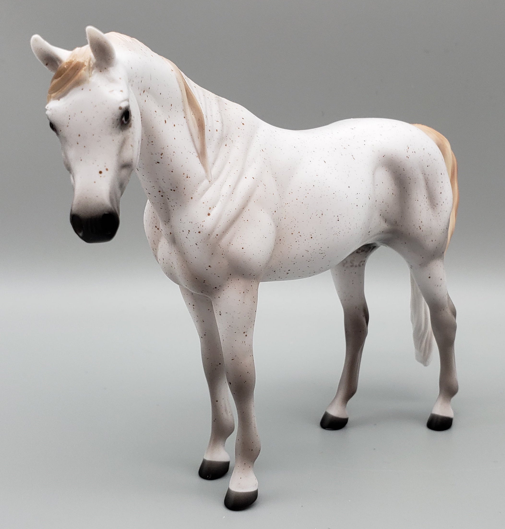 Shannon | StoneHorseRef